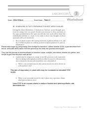Pre Lab Week Pdf LABORATORY Name Team Name Allie Wilson Team Worksheet HOMEWORK