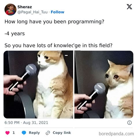 40 ‘shockingly Good Programmer Jokes And Memes From This Online Group New Pics Bored Panda