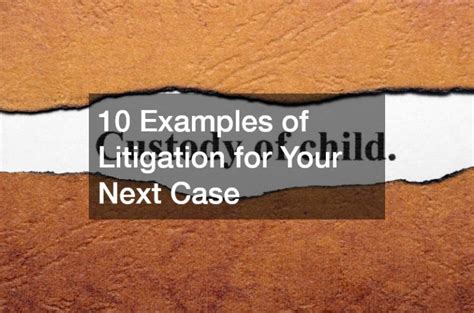 10 Examples Of Litigation For Your Next Case Community Legal Services