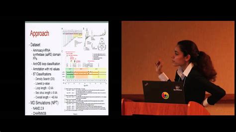 Mining The Evolutionary Dynamics Of Protein Loop Structure And Its Role