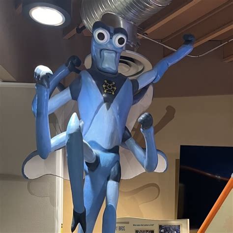 Archived Exhibit Bug Squad River Legacy Foundation