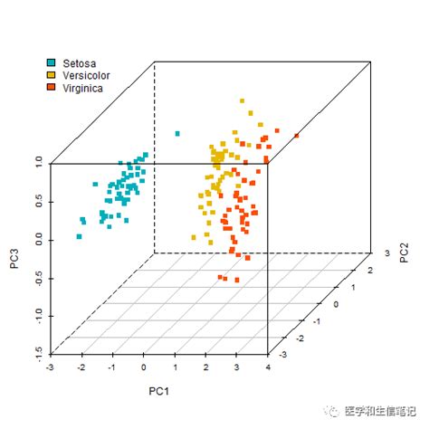 R语言pca主成分分析可视化3d版3d Pca Csdn博客