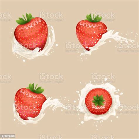 크림 우유 컬 스플래시 방울 과일 딸기 현실적인 투명 배경 3 차원 설계 벡터 일러스트 레이 션 0명에 대한 스톡 벡터 아트 및 기타 이미지 Istock