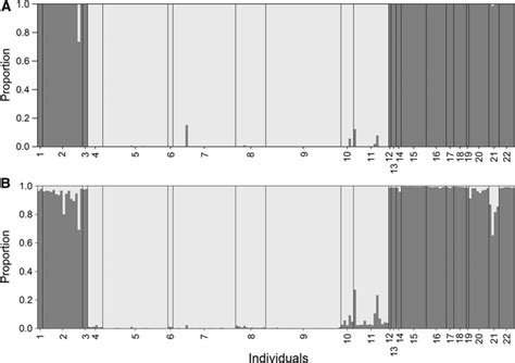 STRUCTURE Bar Plot Of Individual Assignments By Sampling Site Canberra Download Scientific
