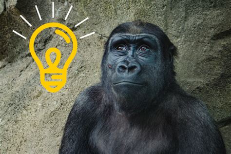 Guerrilla Testing On Mobile Digital Communications Team Blog