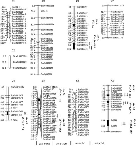 Genetic Linkage Map And Positions Of Quantitative Trait Loci Qtls Download Scientific Diagram