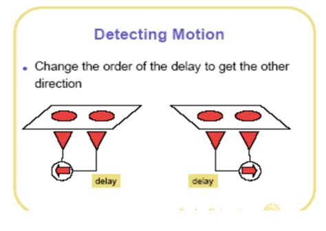 8 Motion Perception Flashcards Quizlet