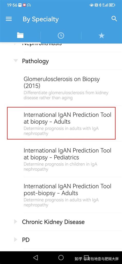 IgA肾病肾功能衰退的评估与分析下 知乎