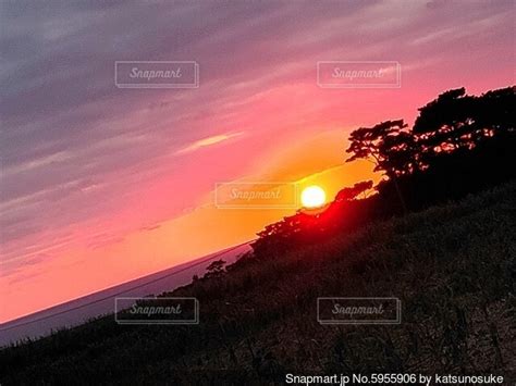 林の向こうの海に沈みゆく太陽の写真・画像素材[5955906] Snapmart（スナップマート）