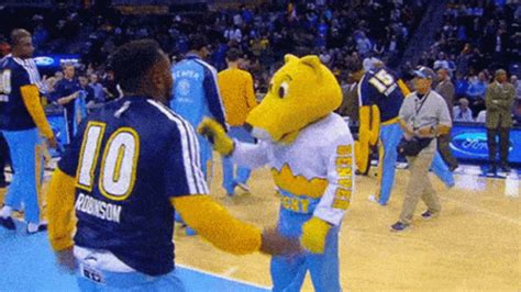 Denver Nuggets Rocky  Denver Nuggets Rocky Dancing Discover