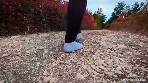 Follow My Footsteps Along The Path In The Evening Lonely Forest Eporner