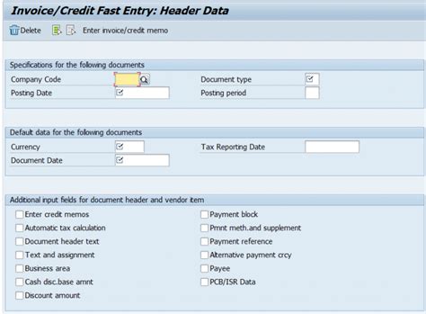 Vendor Invoice Credit Memo Fast Entry In Sap Sap Fb10