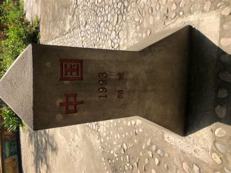 2025独树成林游玩攻略 玩的很开心吃的也不错王 去哪儿攻略