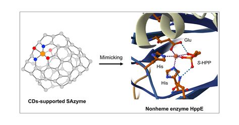 Non Heme Iron Single Atom Nanozymes As Peroxidase Mimics For Tumor Catalytic Therapy Nano Letters