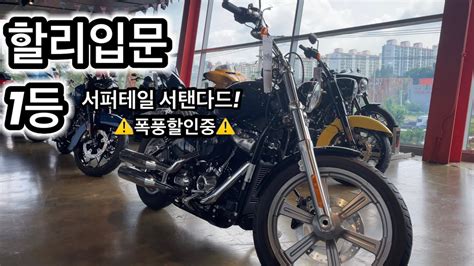 할리데이비슨 입문용 바이크 1등 폭풍할인 소프테일 스탠다드 할리데이비슨 용인점 Youtube