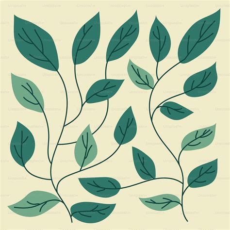 녹색 잎이 있는 식물 사진 벡터 Unsplash의 자연 이미지