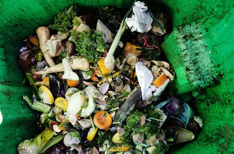 Why New Yorks Curbside Composting Program Will Yield Hardly Any Compost Inside Climate News