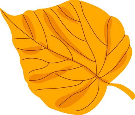 Autumn Maple Leaf 31738813 Png