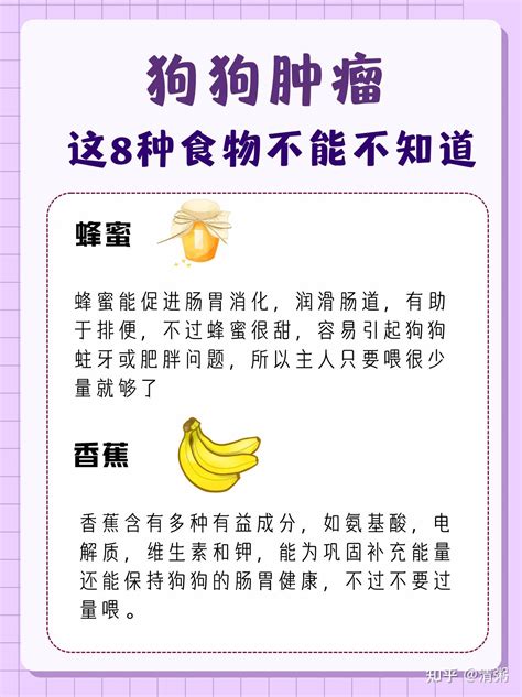 狗狗8大抗肿瘤食物 ，存下吧很难找全 知乎