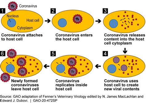 How Does A Time Bomb Virus Work At Agnes Hendricks Blog