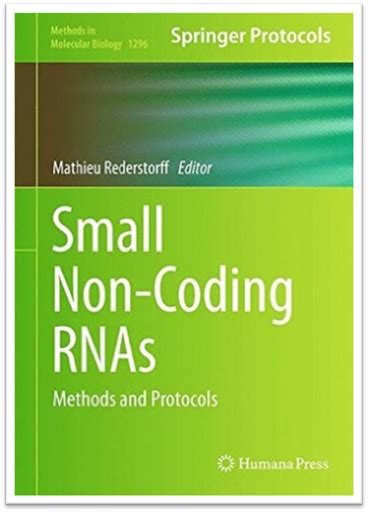 Methods In Molecular Biology Vol1296 Small Non Coding Rnas Methods And