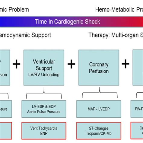 The Hemodynamic Support Equation The Hemodynamic Support Equation