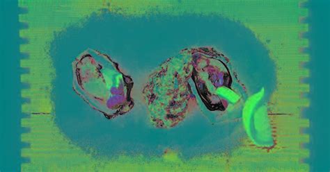 나이 들어 둔해진 미각 味覺 되살리려면 이 음식 드세요