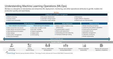 Understanding Machine Learning Operations Market Insights™ Everest Group