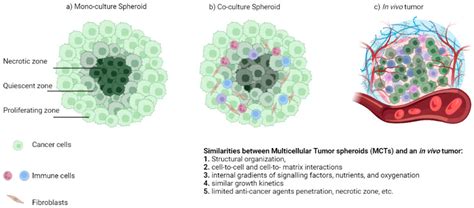 Applications And Advances Of Multicellular Tumor Spheroids Challenges