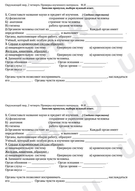 📒 Рабочий лист №33 по теме “Рабочие листы Окружающий мир 3 класс 2 четверть Организм человека
