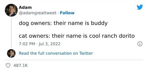 Silly Shenanigans In Jolly Coop R Rainworld