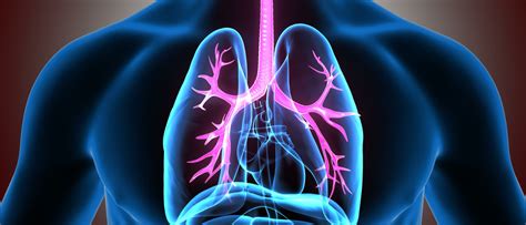 Hu Researchers Help Advance Ai Powered Lung Cancer Detection Through Graph Based Modeling