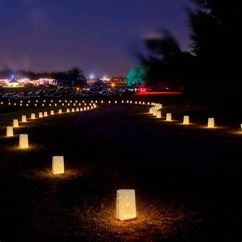 Custom Paper Luminaries Party Decorations By A Professional