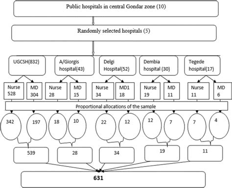 Schematic Sampling Procedure Of Health Professionals In Central Gondar Download Scientific