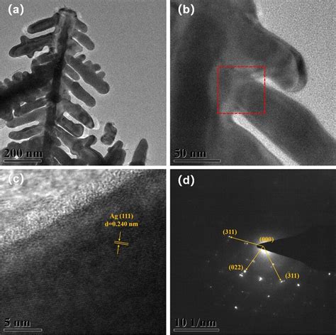 A Low Magnification Tem Image Of As Synthesized Silver Dendritic Download Scientific Diagram