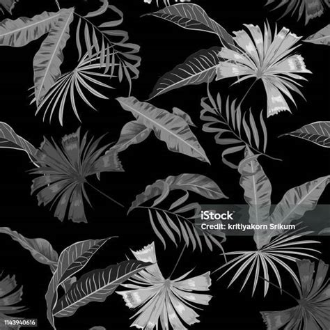 모노톤 검은색과 회색 벡터 이국적인 숲과 완벽 한 아름 다운 예술적 밝은 열 대 패턴입니다 화려한 원래 세련 된 꽃 배경 인쇄 꽃 식물에 대한 스톡 벡터 아트 및 기타