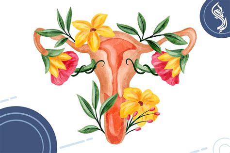 Important Points Before Laser Labiaplasty