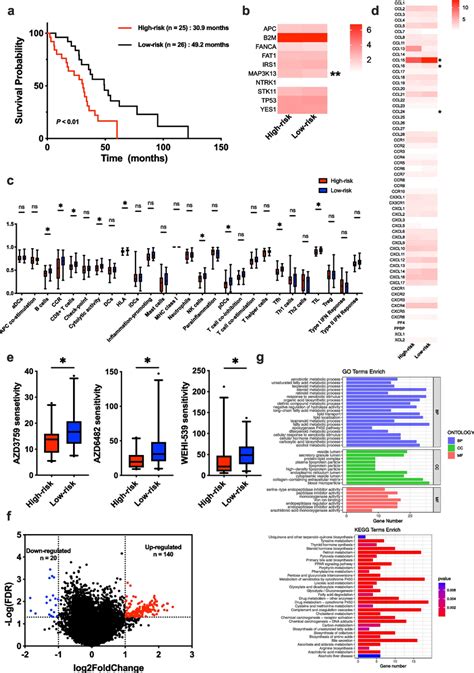 Tumor Microenvironment Analysis Between The High And Low Risk Groups Download Scientific