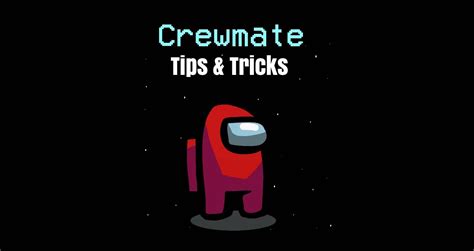 Among Us Crewmate Role Guide Tips And Tricks Amc Blog