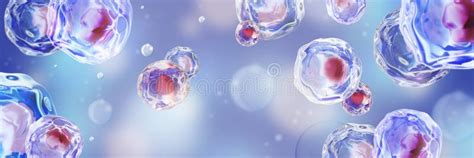 3d Human Cell Medical Background Microscope Fertilisation Egg Embryo