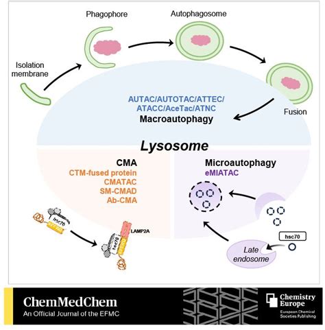 Chemmedchem Gianluca Sbardella