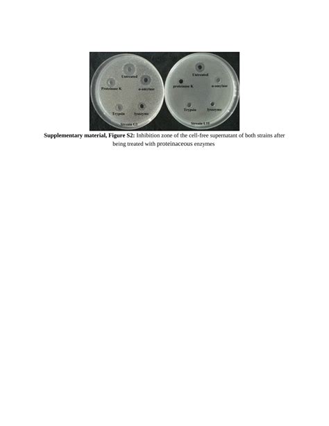 Pdf Characterization Of The Antibacterial Substances