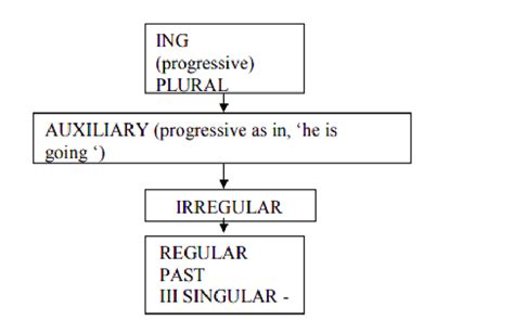 Average Order Of Acquisition Of Grammatical Morphemes For Englishasa Download Scientific
