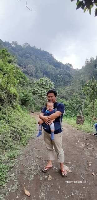 Curug Cisurian Habitat Si Katak Merah Di Tn Gunung Ciremai Triptofun