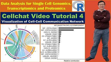 Cellchat Video Tutorial 4 Visualization Of Cell Cell Communication