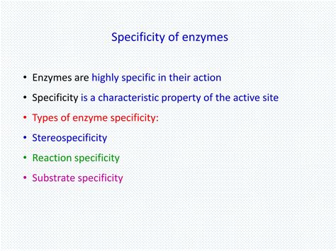 Enzymes Pptx