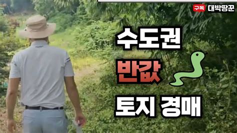 경기 수도권 반값 부동산 토지경매 주변에 학교도 많고 시내도 가까운 전원주택 마을 내 농지 반값 경매 부동산투자 부동산 토지투자 토지경매 계획관리 투자 Youtube