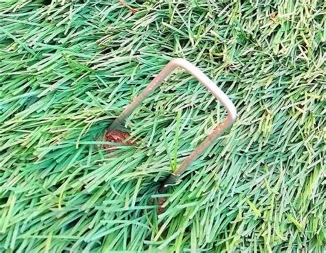 Artificial Leisure Grass Diy Installation Steps