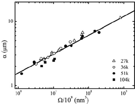 A log log plot of the scaling factor α see text obtained in the Download Scientific Diagram